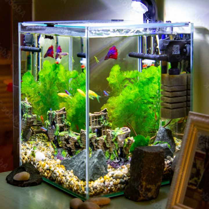 Aquarium – Fish&Flow